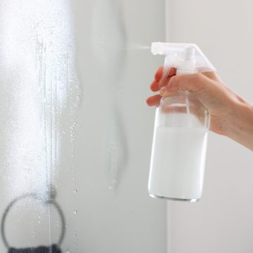 DIY Glass and Mirror Cleaner | Natural and Homemade - The Home Intent