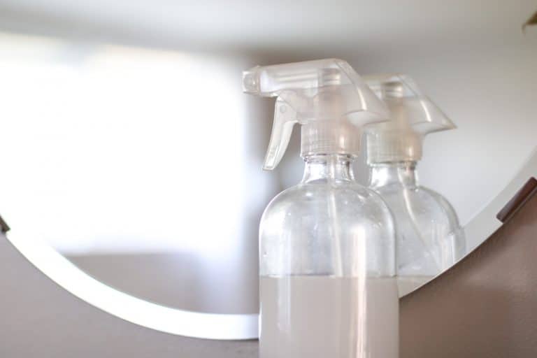 DIY Glass and Mirror Cleaner | Natural and Homemade - The Home Intent