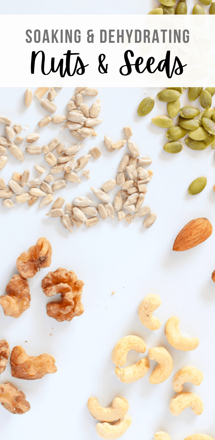 Soaking Nuts and Seeds + How to Dehydrate Them - The Home Intent