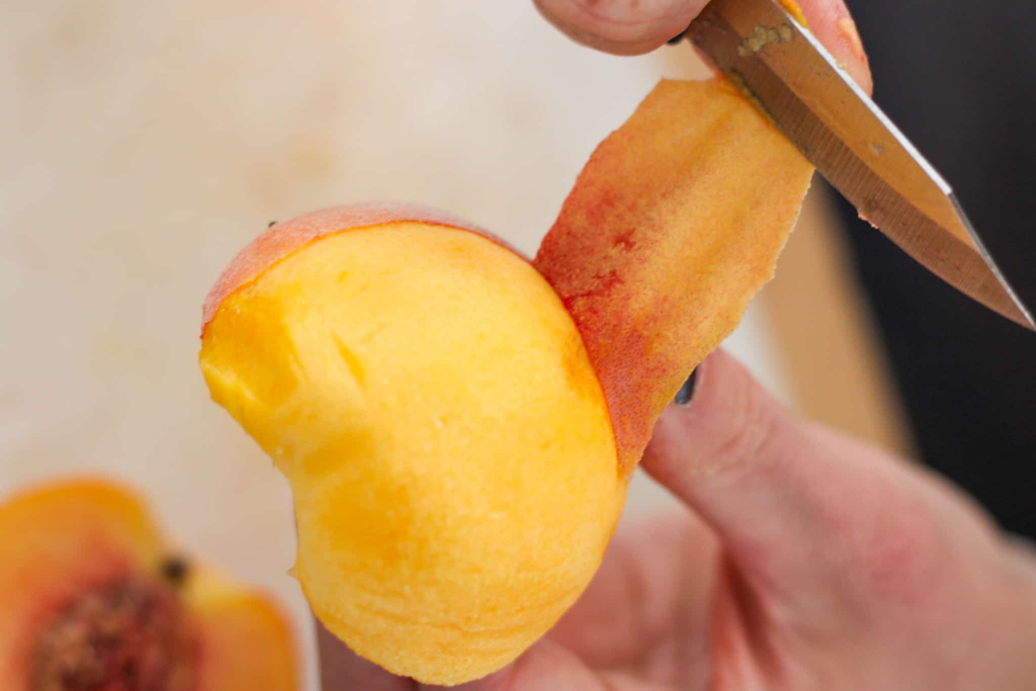 How to Dry Peaches in a Dehydrator - The Home Intent