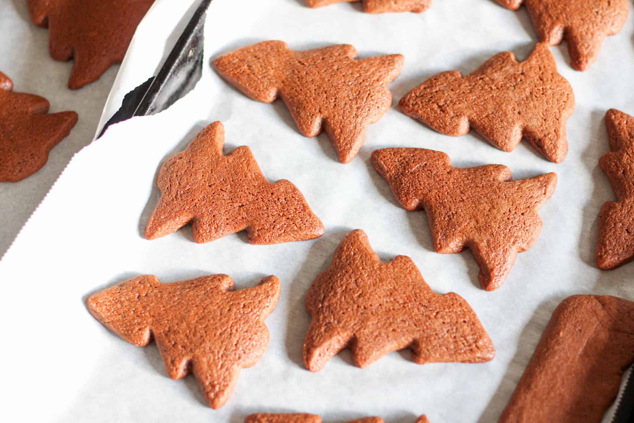 German Gingerbread Cookies | Easy Christmas Recipe - The Home Intent