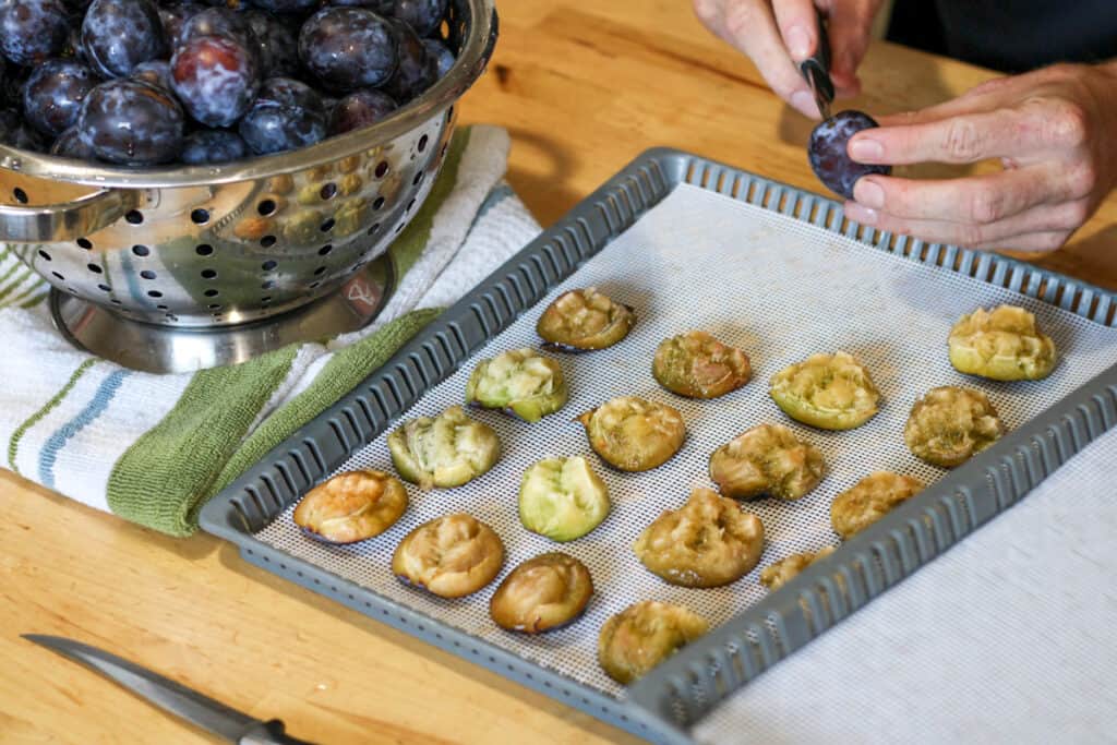 How to Make Dried Plums | Dehydrator or Oven - The Home Intent