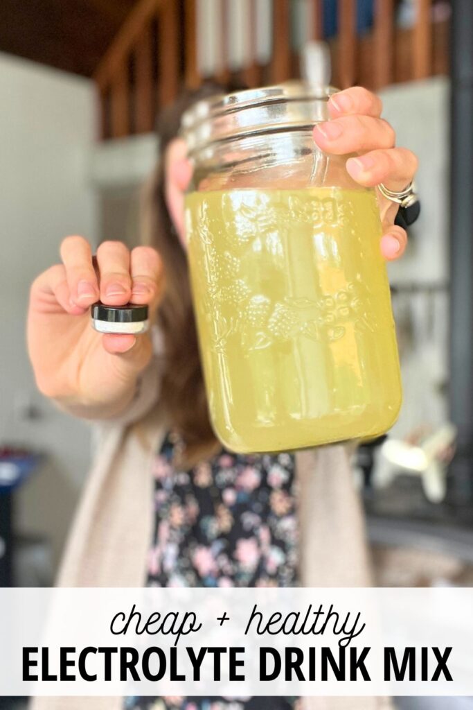 Homemade Electrolyte Drink Mix | ⅛ the Cost of LMNT - The Home Intent